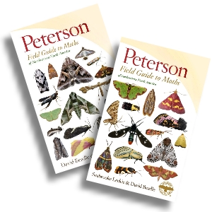 Out now! The new P eterson Field Guide to the Moths of Southeastern ...